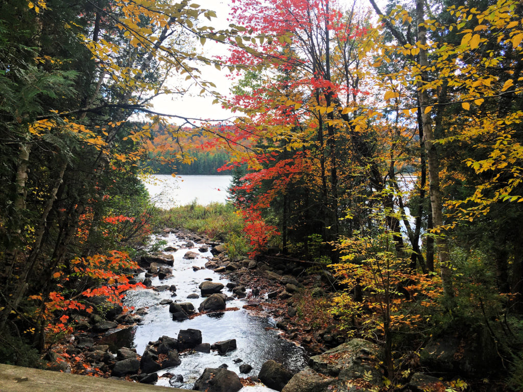 La Mauricie: Canada's Most Underrated National Park