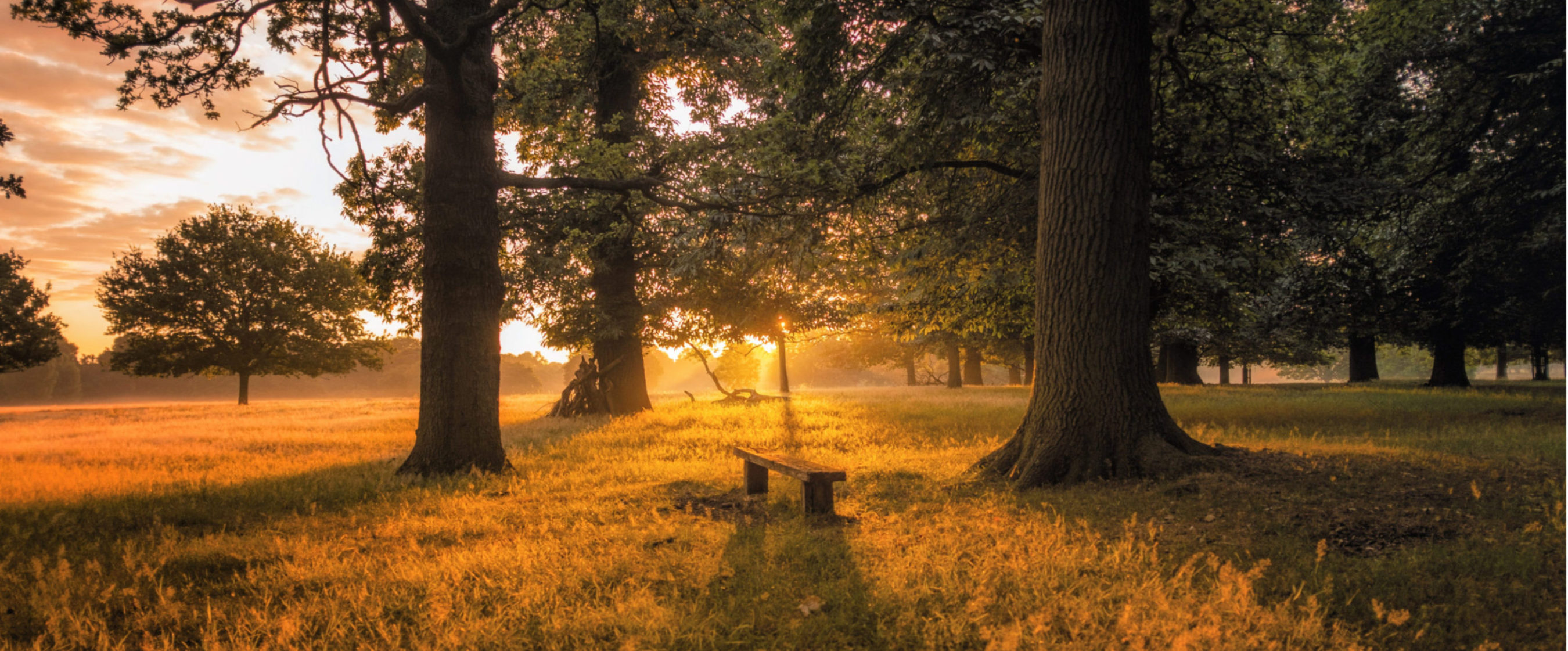 4 Perfect Weekend Getaways From Washington DC | Modern Trekker